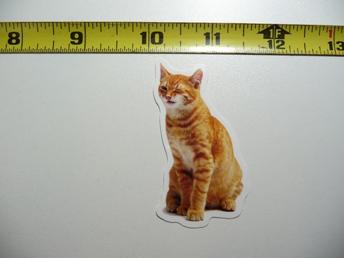 WINKING CAT DECAL STICKER FELINE PET HOUSE KITTEN | eBay