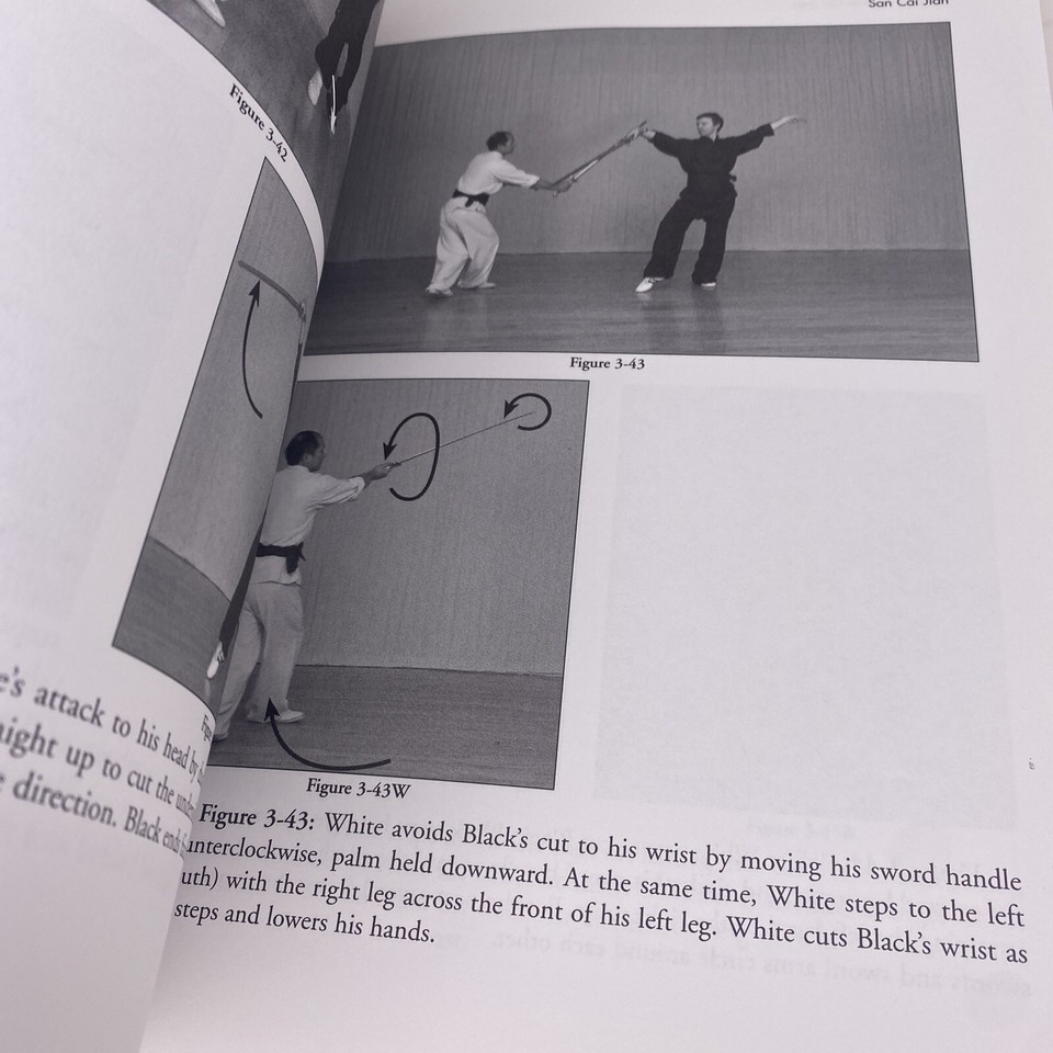 Northern Shaolin Sword: Form, Techniques & Applications by Dr. Yang ...