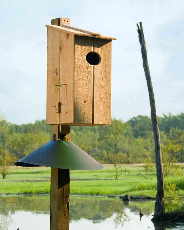 Wood Duck Nesting Box
