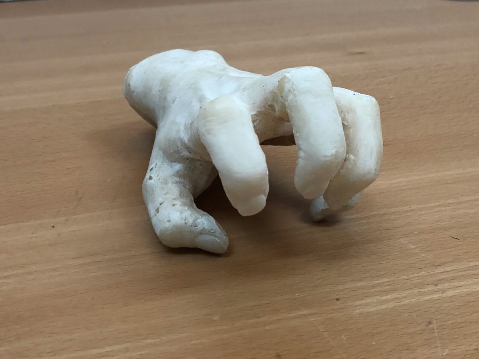 WAX CHILD KID LEFT HAND in CLAW POSE - Unpainted - Alvarez Wax | eBay