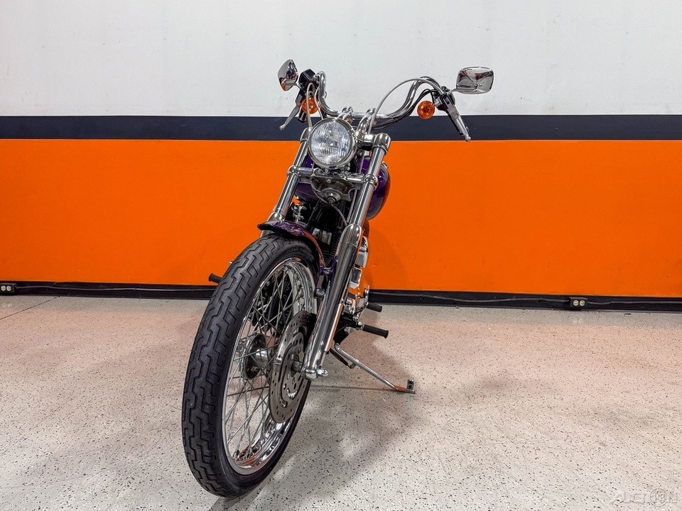2002 Harley-Davidson Softail Custom Softail Concord Purple FXST | eBay