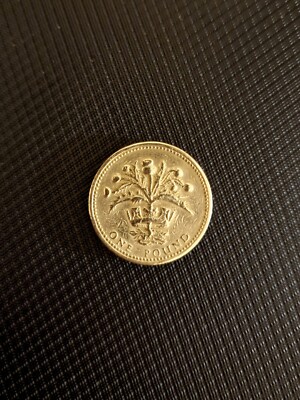 rare 1 pound coin | eBay UK