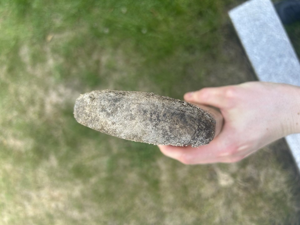 Gray Nicolls Ultimate 750 Cricket Bat Size Harrow | eBay UK