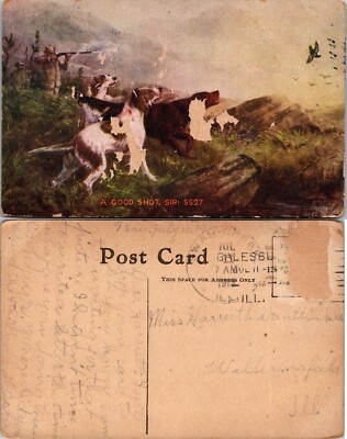 Hunting Dogs Flushing Birds A Good Shot Sir Postcard | eBay