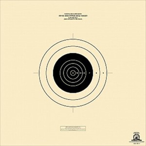 MR-31 [MR31] NRA Official 100 Yard Slow Fire High Power Target (5 pack ...