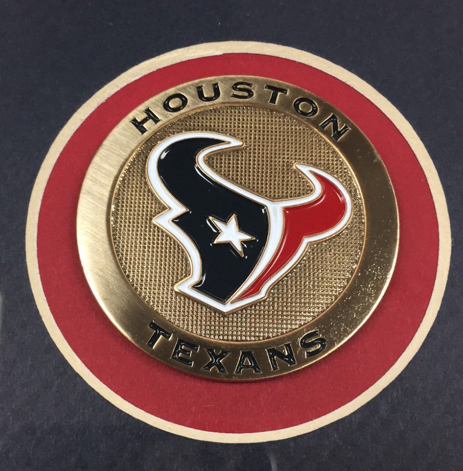 HOUSTON TEXANS Medallion Frame Kit 8x10 Photo Double Mat HORIZONTAL | eBay