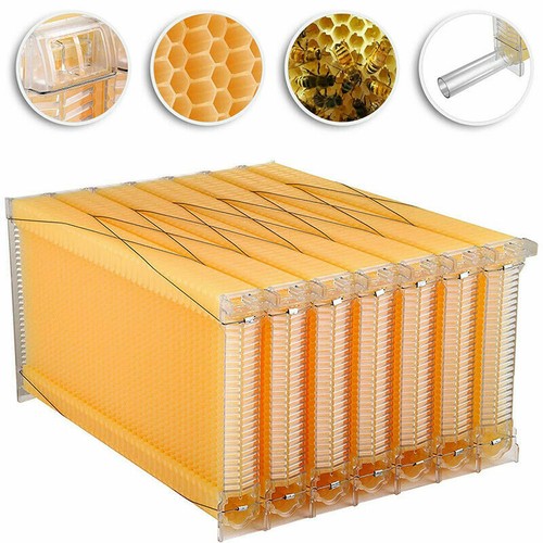 7Pcs Auto Seeping Honey Hive Beehive Frames + Beekeeping Wooden ...