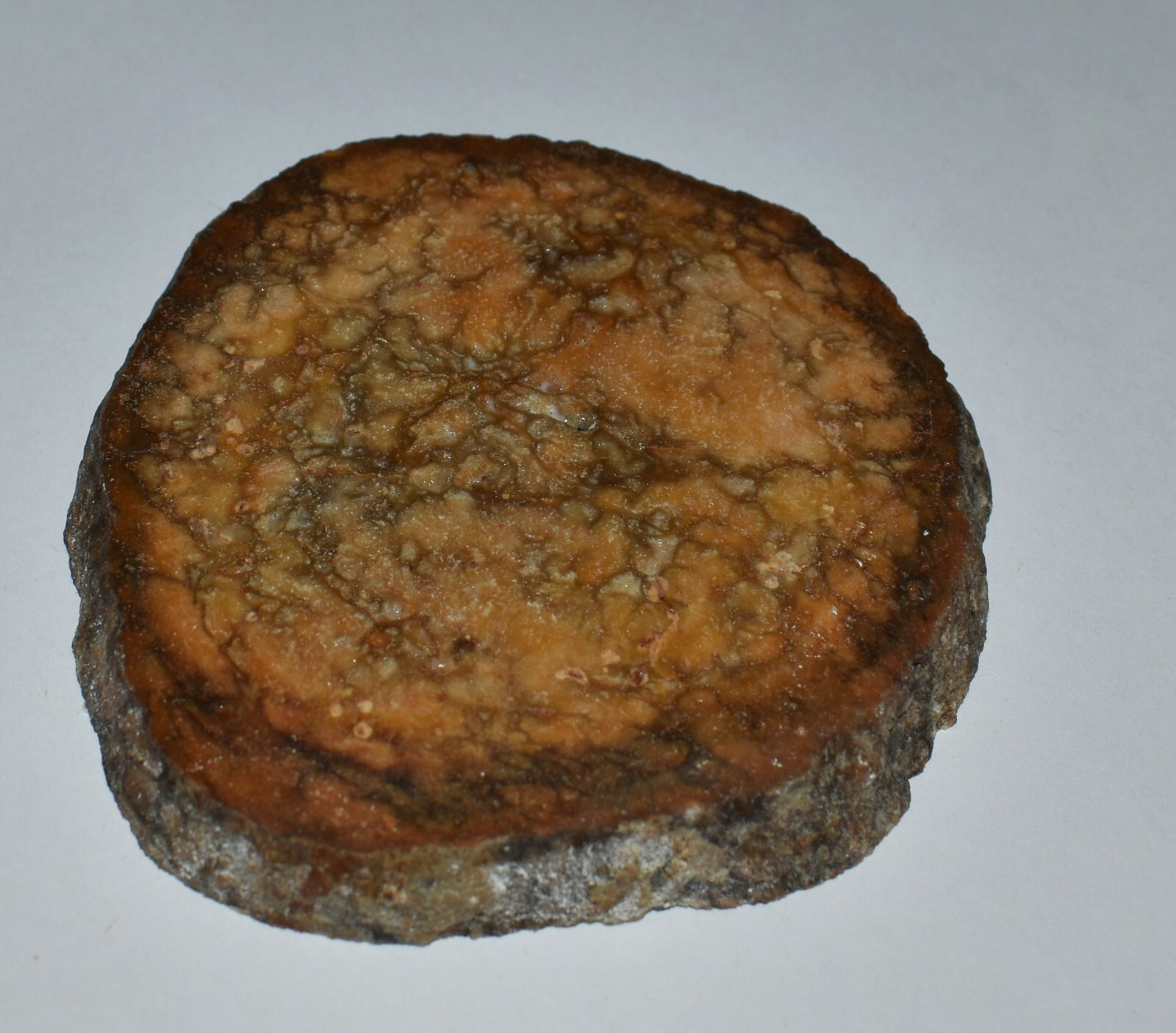 Brain Geode Slab Chalcedony with Drusy from North Carolina USA | eBay