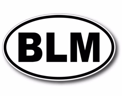 Black Lives Matter Anti-Racism BLM Movement Oval Decals Sticker 5”x3 ...