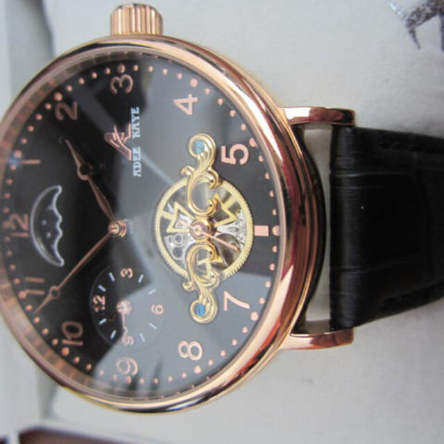 Adee Kaye Skeleton Men's Watch Automatic Lea Sports Original AK7117 for ...