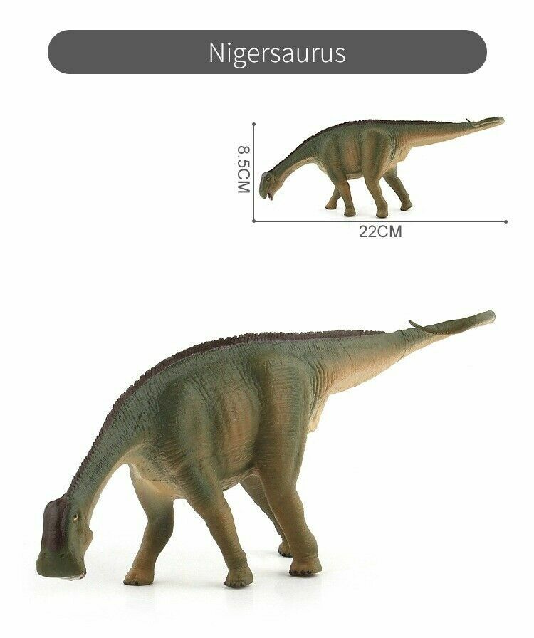 Jurassic Realistic Model Nigersaurus Dinosaur Figure Dino Toy Gift Kids | eBay