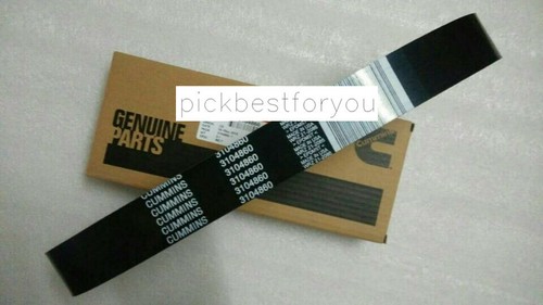1PC New for 3104860 Cummins Ribbed V-Belt #M244D QL | eBay