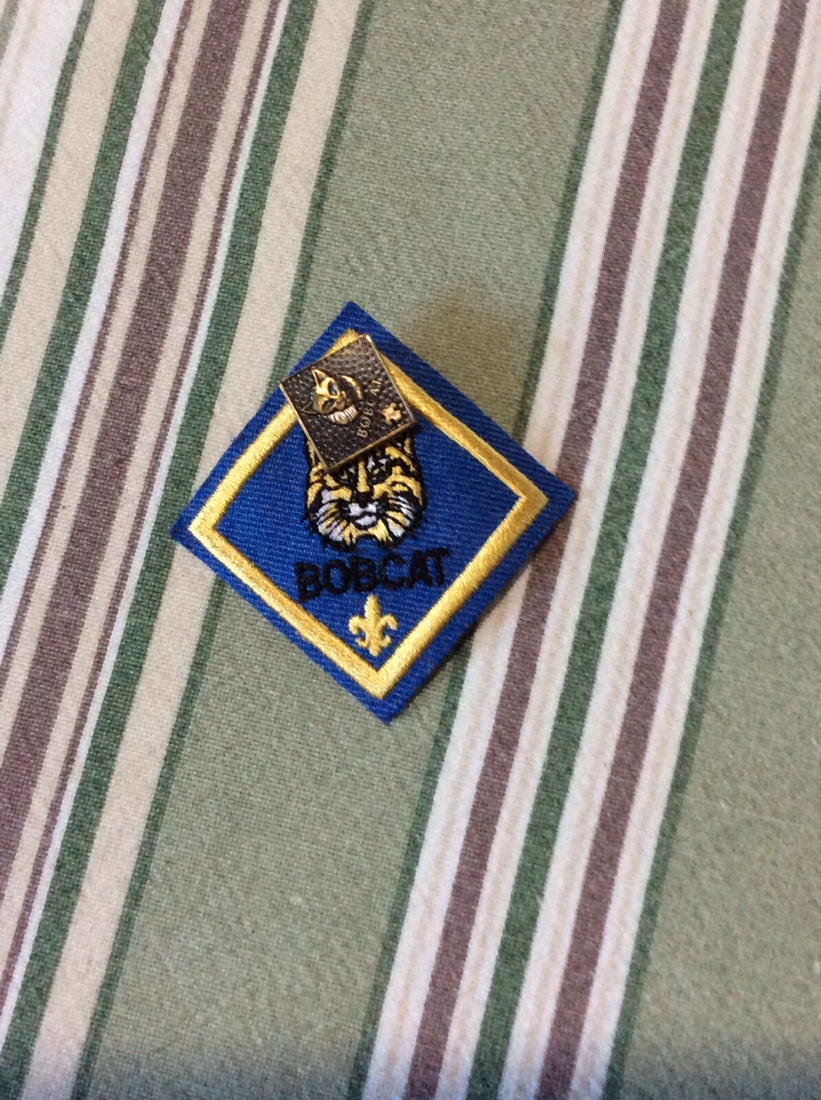 BSA Boy Scouts of America Cub Scout Bobcat Rank Iron-on Patch & Bobcat ...