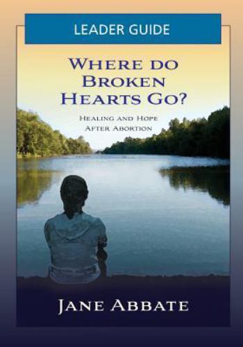 Where Do Broken Hearts Go? Leader Guide by Jane Abbate (2014, Trade Paperback) for sale online ...