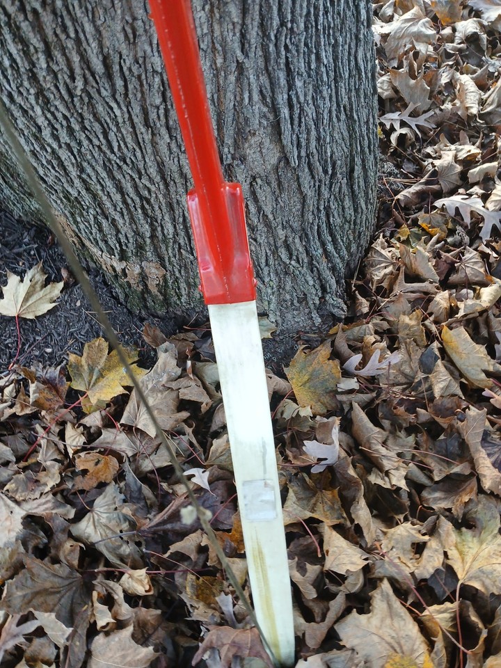 Vintage Bear Archery 76er Metal Take Down Recurve Bow Right Hand Fred ...