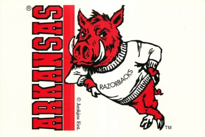 Postcard University of Arkansas Razorback Hog Mascot - #1 | eBay