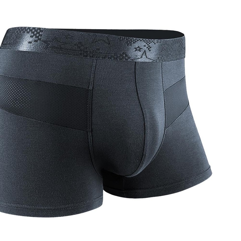 Men Mesh Pouch Underwear Ice Silk Boxer Briefs Trunks Breathable Style ...