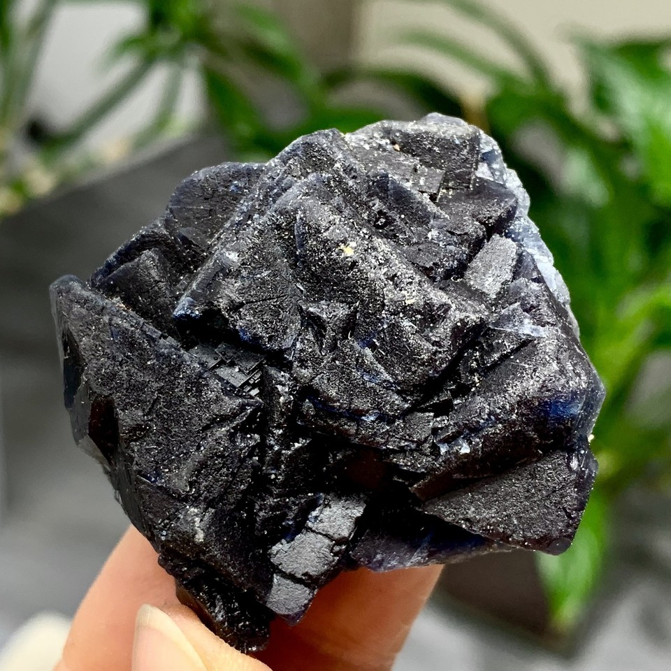 62G Natural black rose fluorescent cube fluorite specimen glow under UV ...