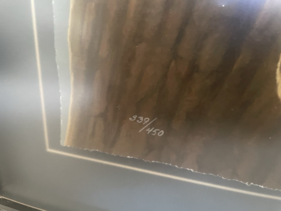 Andrew Bone Leopard " Silent Stalker" signed Framed Limited Edition 339 ...