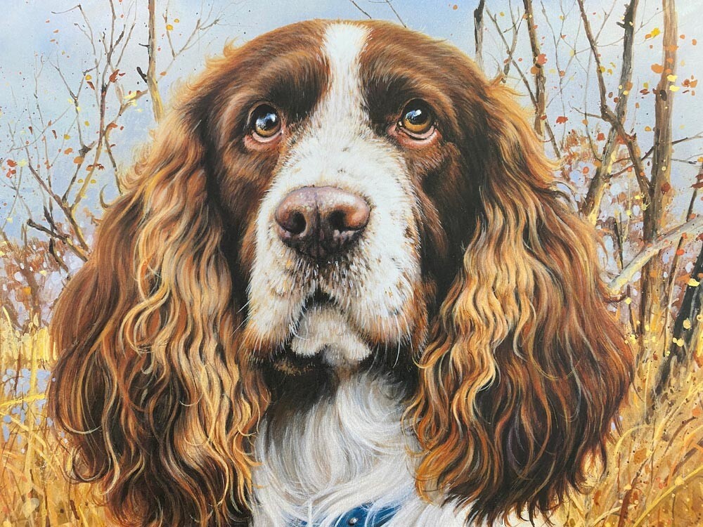 James H. Killen - That's my Dog - Springer Spaniel - Open Edition Size ...
