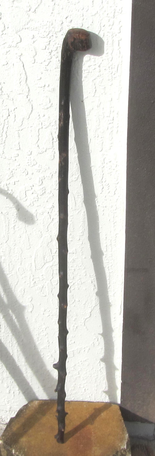 Vintage Irish Blackthorn Shillelagh Walking Stick - Gem