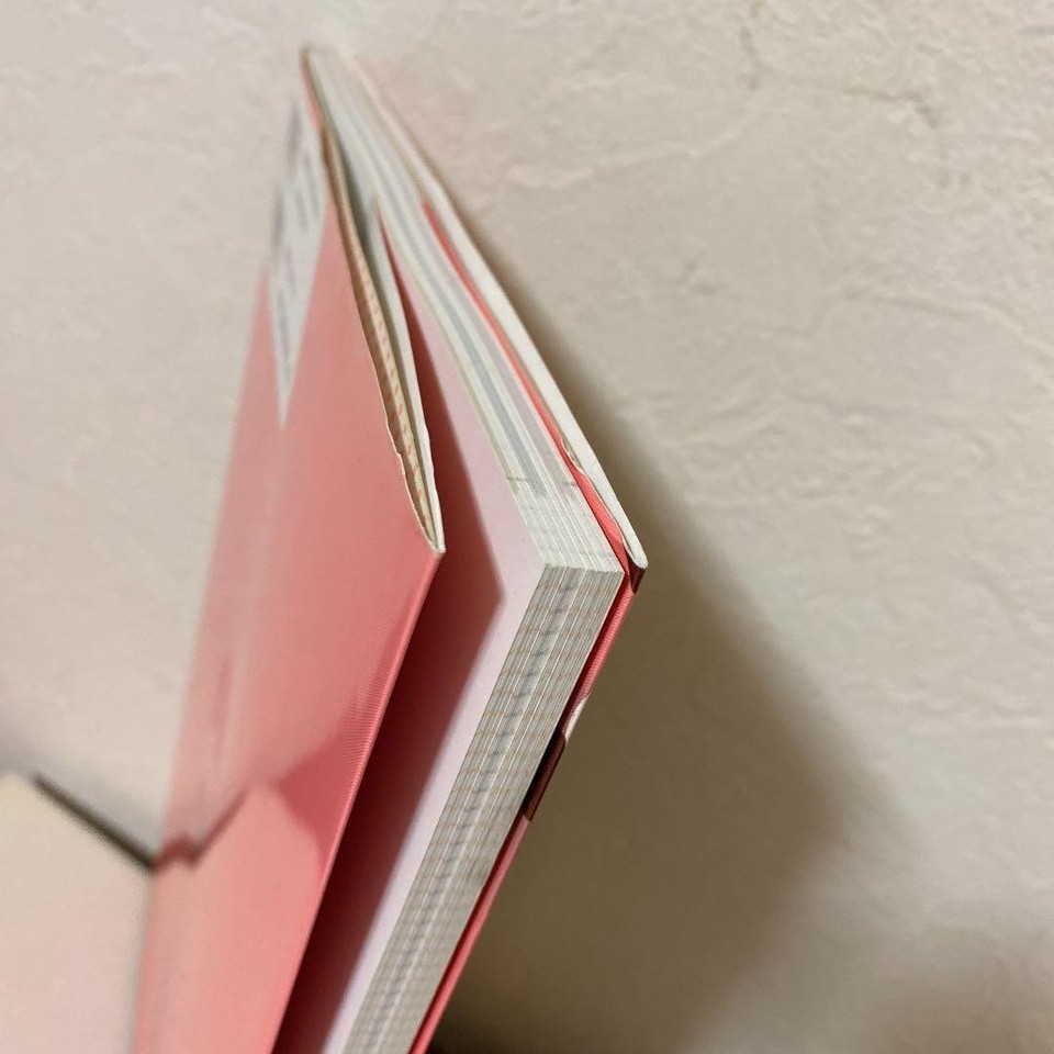 Gourmet Girl Graffiti Anime Official Guidebook Cooking & Girls Japanese ...