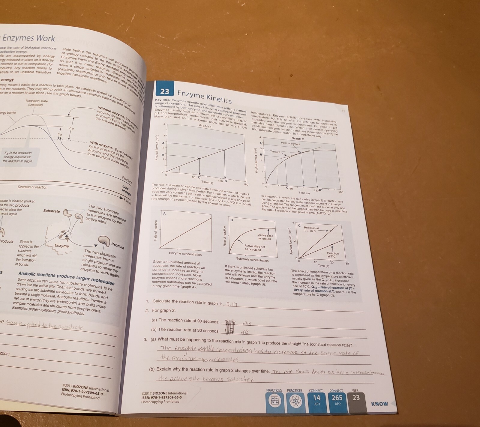 *USED* Biozone AP Biology 2 Student Edition Workbook (2nd Edition) | eBay
