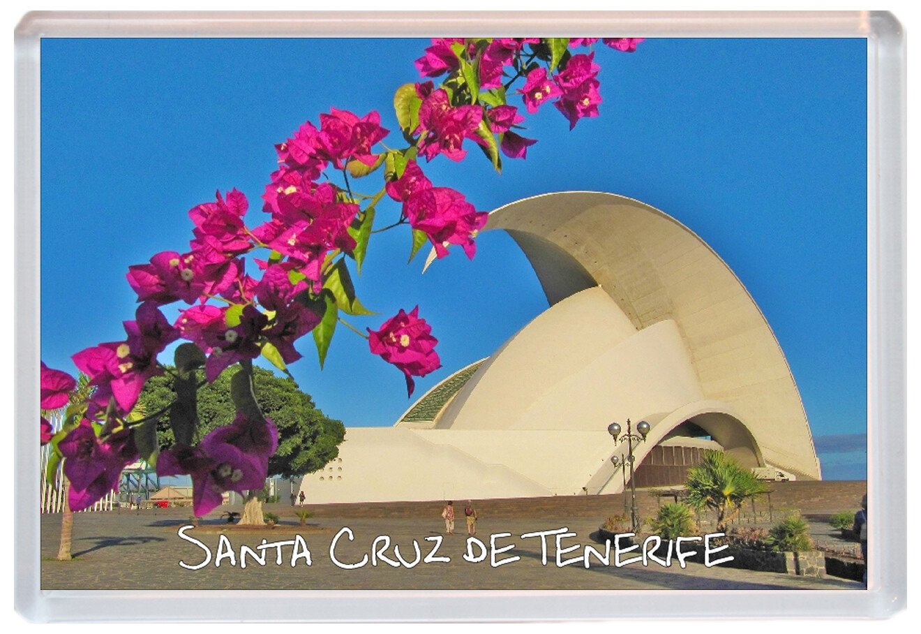 Various Canary Islands - 96 x 67mm Jumbo Fridge Magnet - Present Gift ...