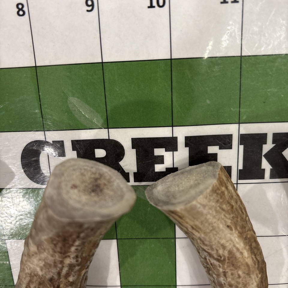 5 Whitetail Deer Antler Crowns Knife Handles Cane Deer Shed Rosette ...