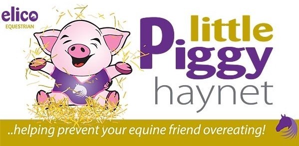 Elico Large Little Piggy Slow Trickle Feed 30mm Small Hole Haynet ...