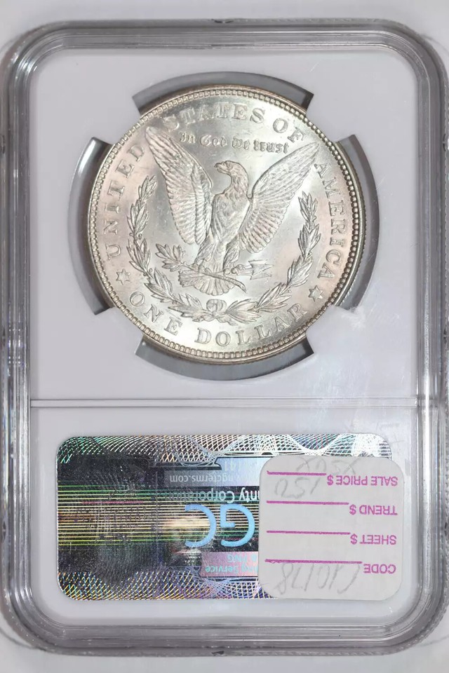 1921 MORGAN VAM-3F PITTED REVERSE HOT 50 MORGAN DOLLAR NGC MS62 | eBay