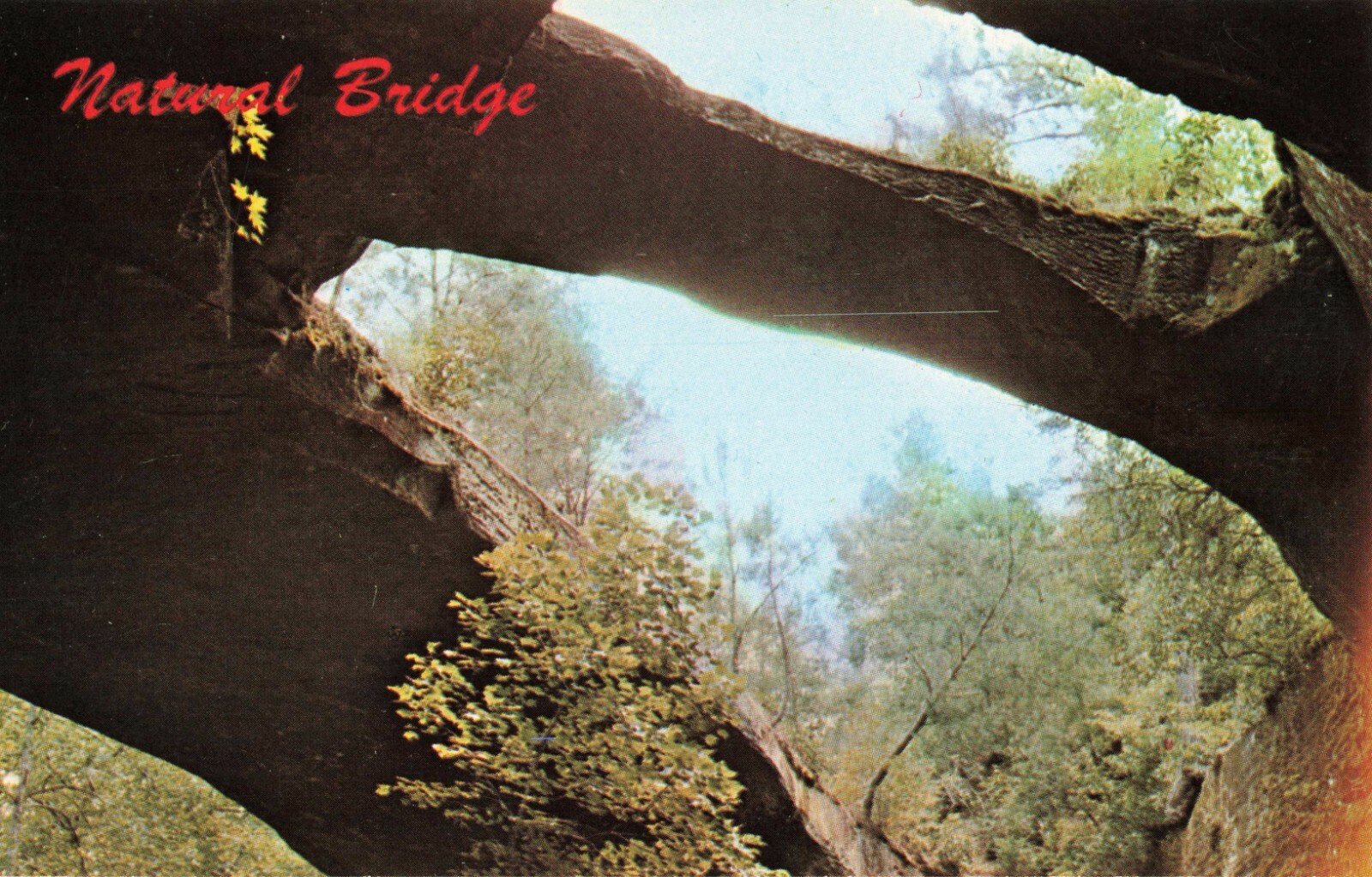 Postcard Tourist Attraction Natural Bridge Alabama | eBay