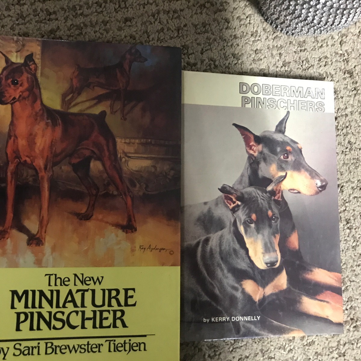 Pinscher Miniatura Y Doberman
