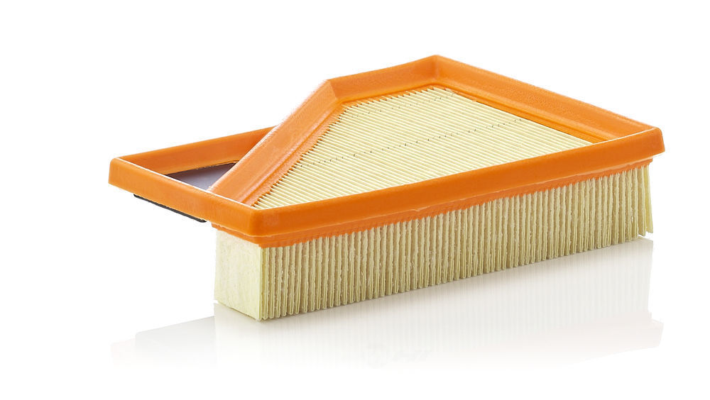 MANN-FILTER C2245 Filters - Air Filter for sale online | eBay