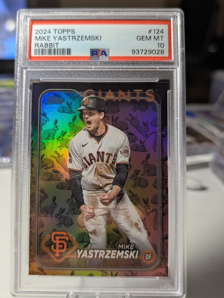 PSA 10 Slab Lot 8 Slabs Steve Young, Dylan Crews (RC) Coyle, Yaz ...