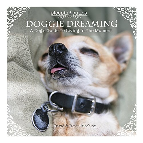 DOGGIE DREAMING: A DOG'S GUIDE TO LIVING IN THE MOMENT By David ...