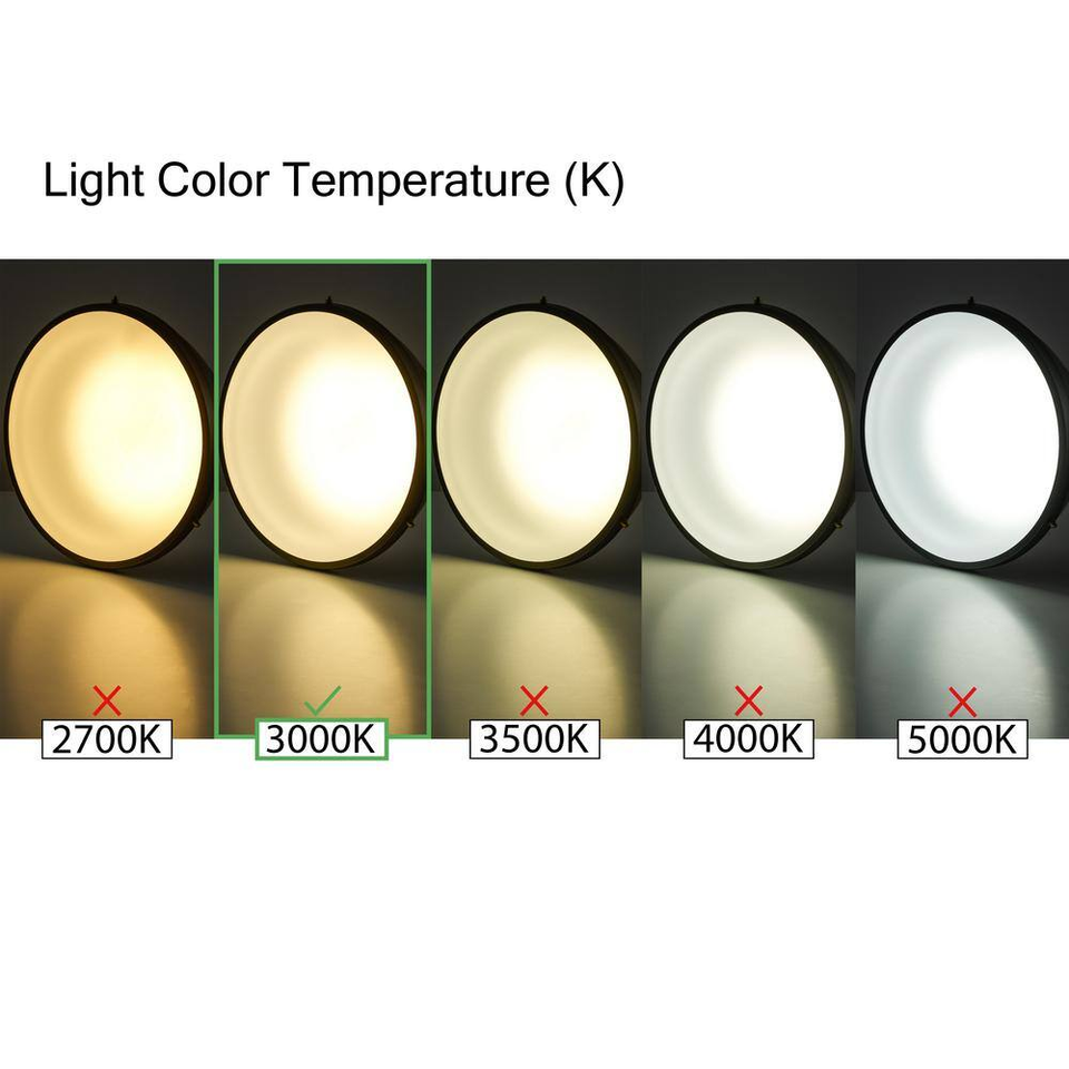 Bel Air Lighting Taylor 9.5 In. Black Integrated LED Outdoor Wall Light ...