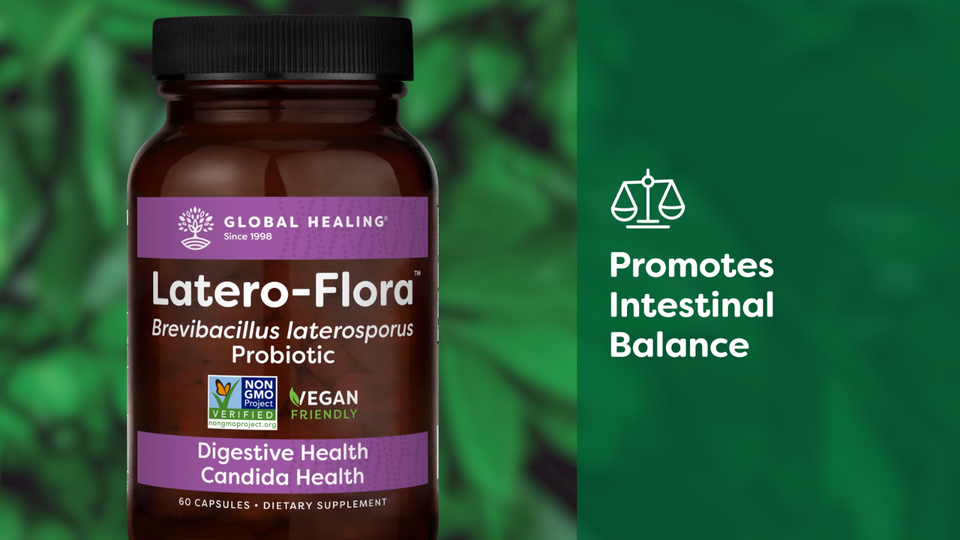 Latero-Flora Digestive Probiotics Supplement For Men & Women - 60 Caps ...