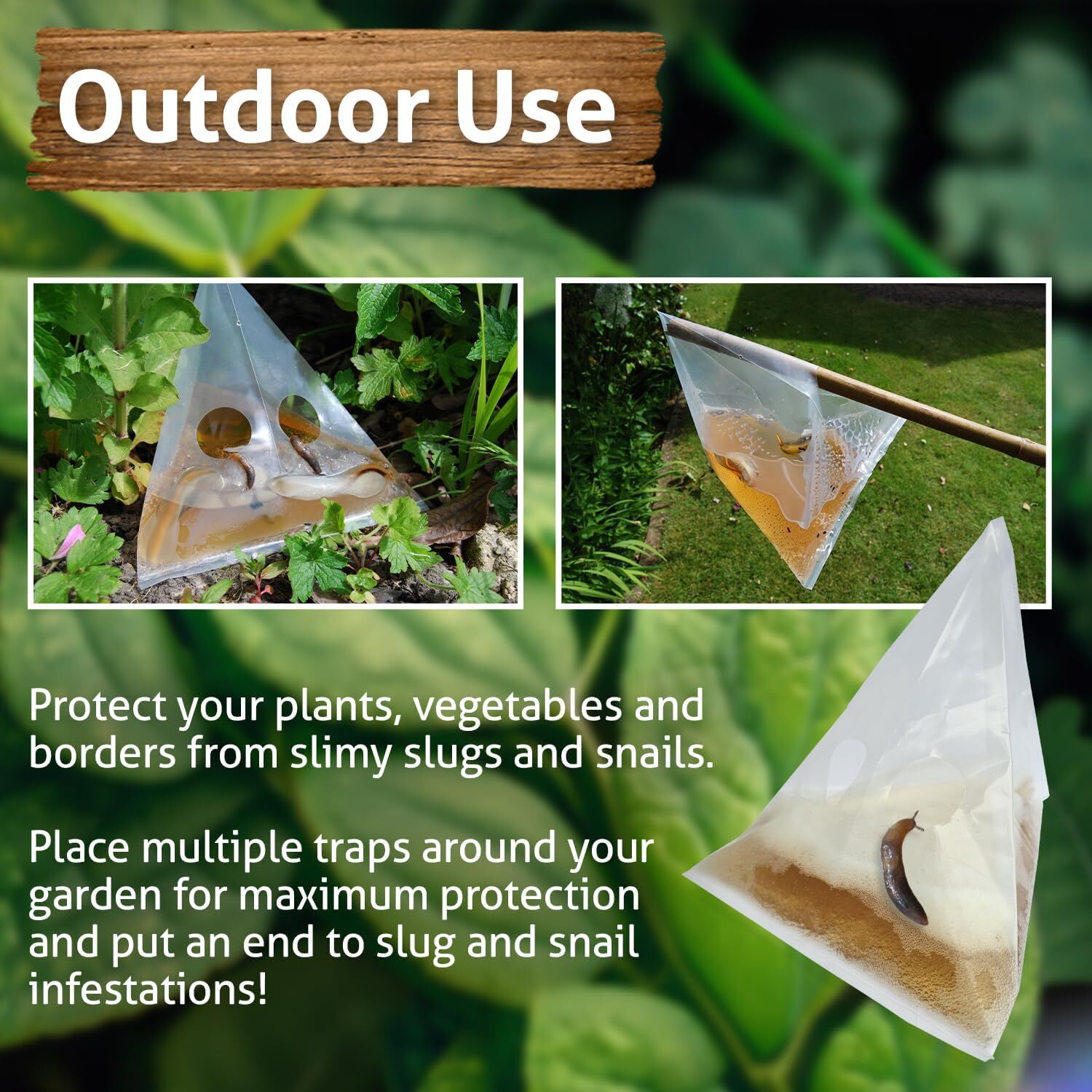 SLUG TRAPPER - 20 Slug Traps for Indoor and Outdoor - Disposable Snail ...