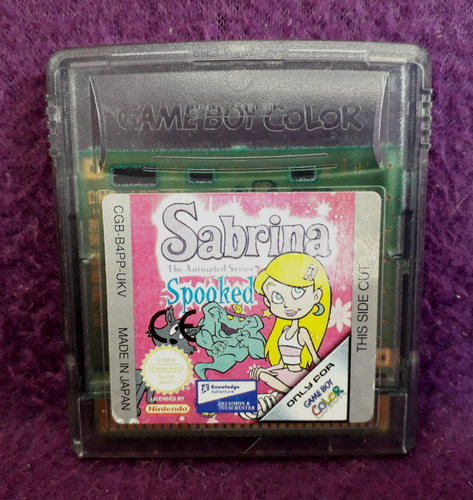 NINTENDO GAMEBOY COLOR GENUINE SABRINA THE ANIMATED SERIES SPOOKED GAME ...