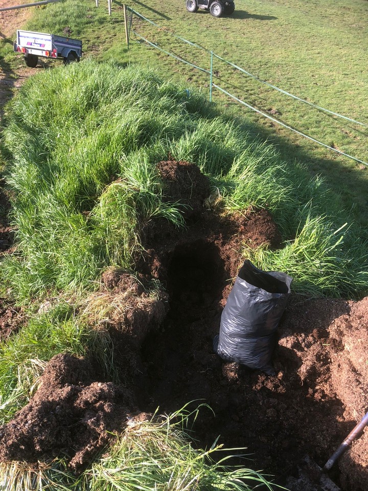 Well Rotted Horse Manure | eBay UK