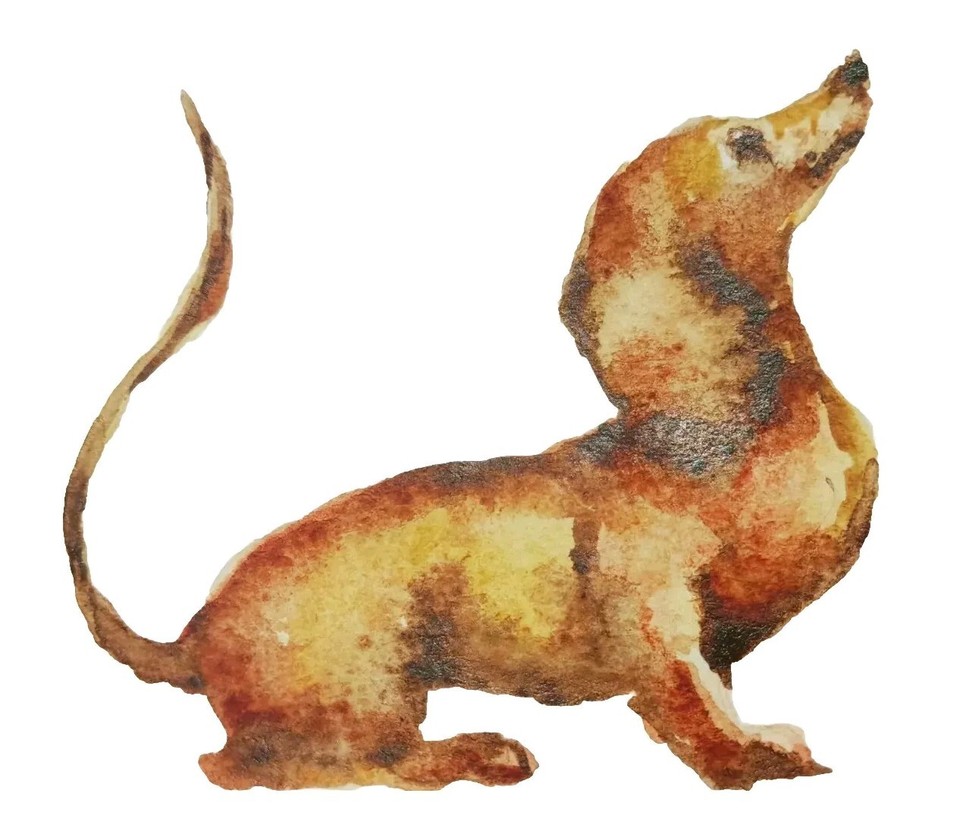 ACEO dachshund dog art original signed painting,home design,pet lover ...