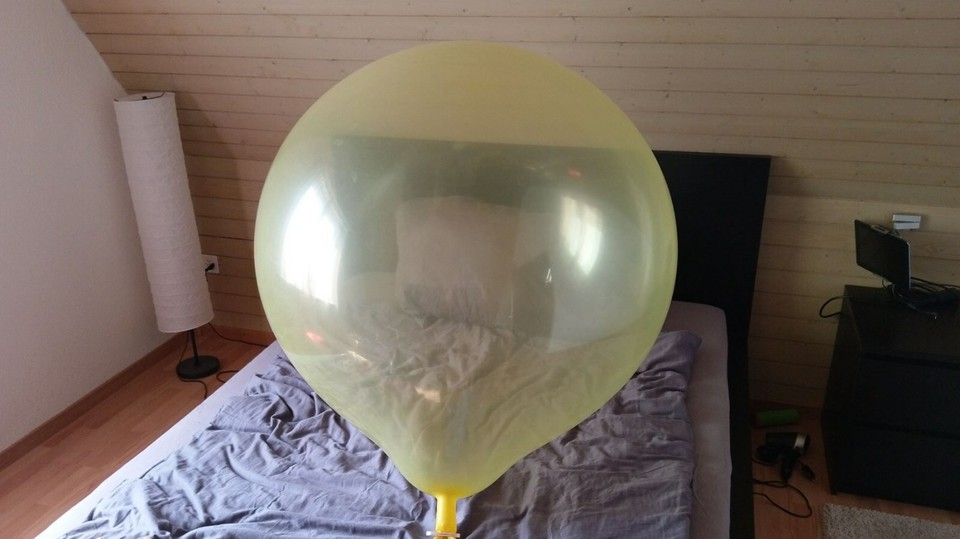 1x Big Cattex **LONGNECK** 36-45 inch *Crystal Colors* looner big latex ...