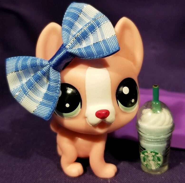 Littlest Pet Shop Lucky Pets Wango Super Lucky Blind Bag Fortune Dog ...