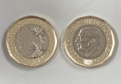 New £1 Pound Coin King Charles 2023 Circulated Collectable | eBay