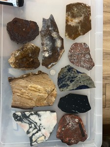 Bulldog Rocks | eBay Stores