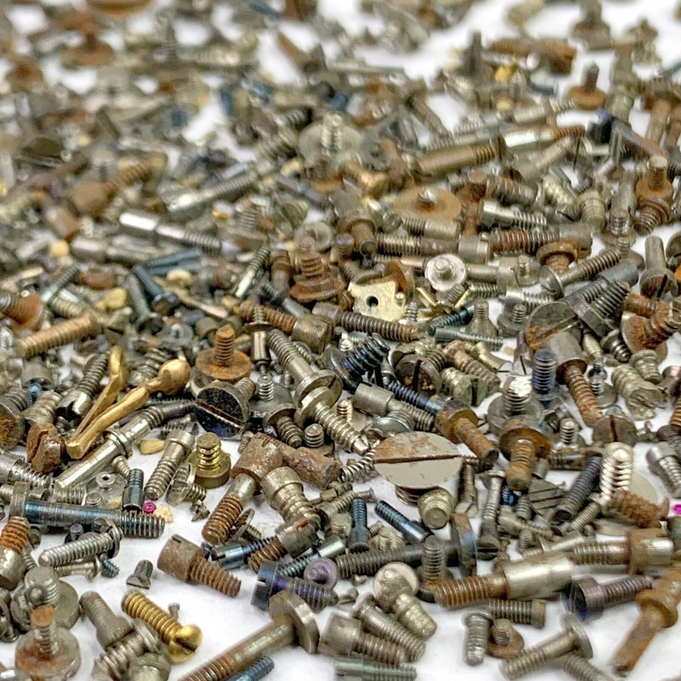 100 Watch Screws Pocket Wrist Blue Silver Part Watchmaker Repair Job ...