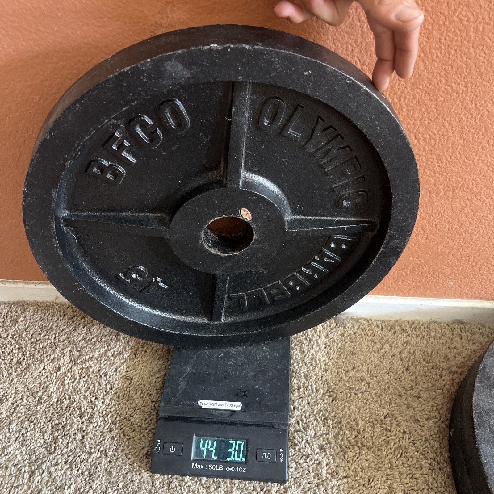 2 x BFCO Rare Vintage PAIR Olympic Plates Weight 45 90 Lbs Total 2 ...
