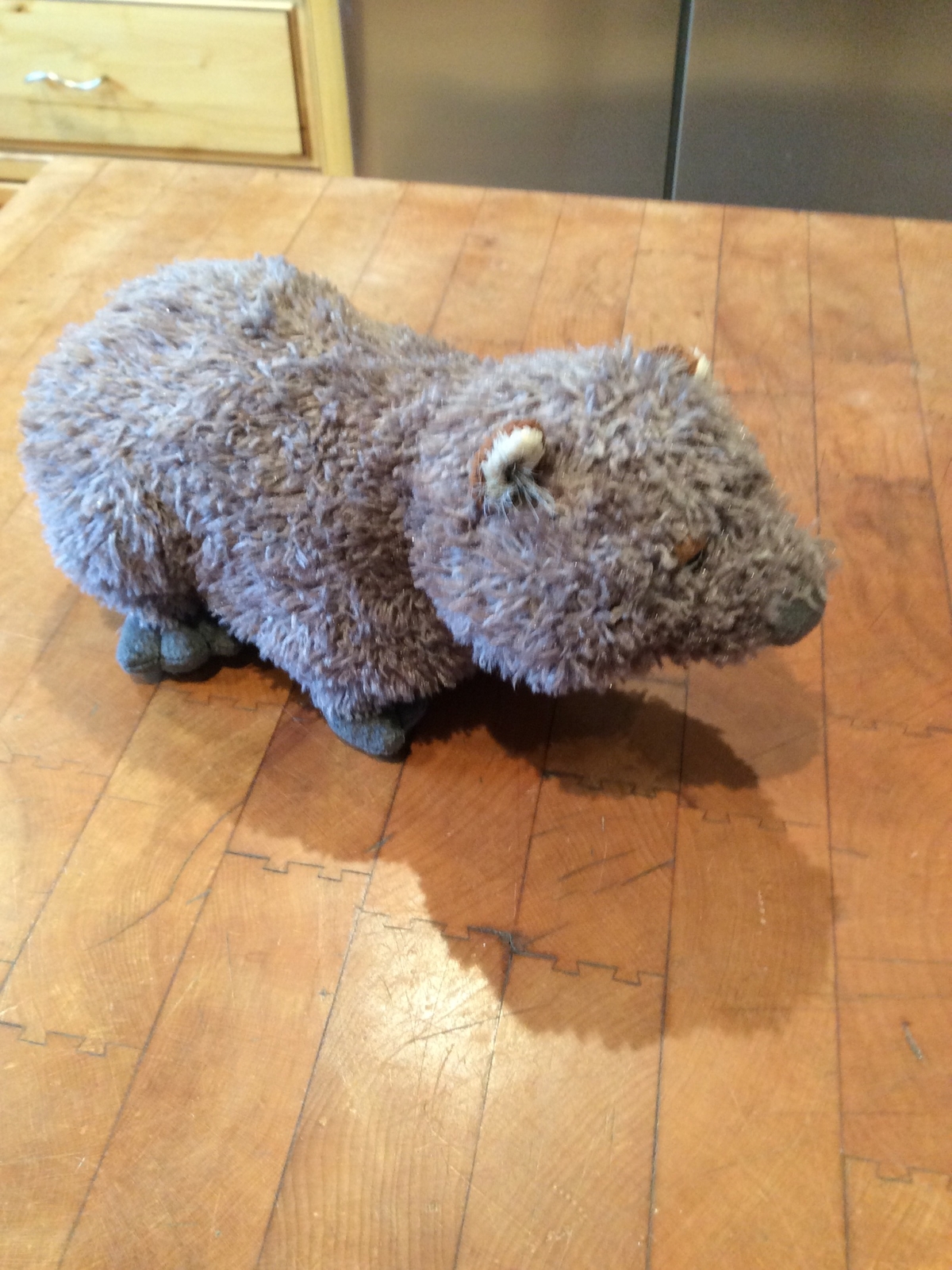 Ganz Webkinz Wombat HM429 Plush Stuffed Animal Beaver 10" No Code | eBay