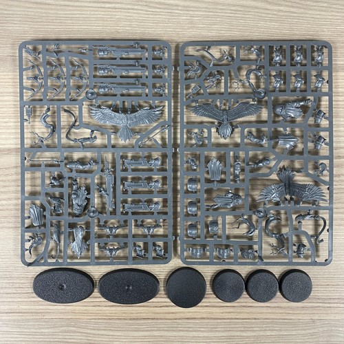 VANGUARD RAPTORS STORMCAST ETERNALS WARHAMMER AGE OF SIGMAR GAMES ...